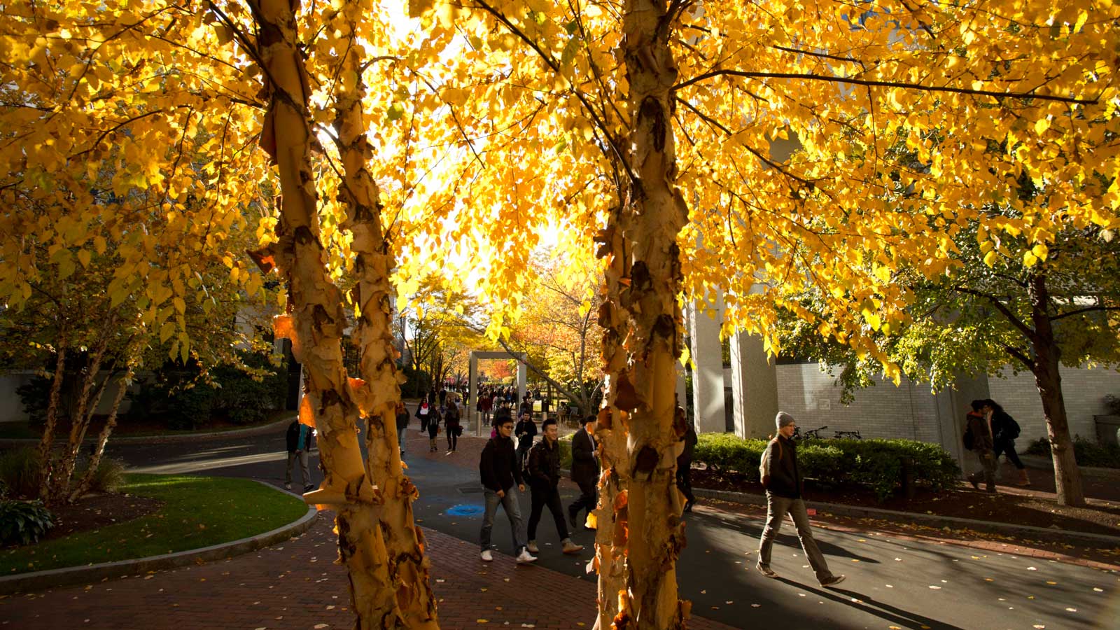 Carnegie Research Classification | University Decision Support at ...